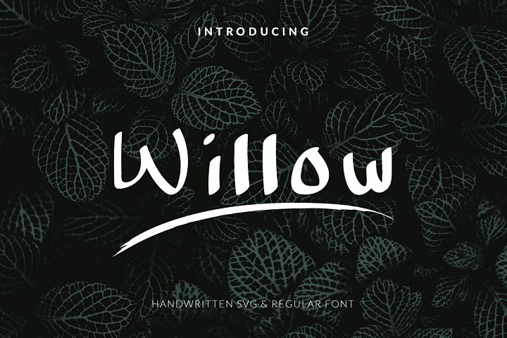 Willow Handwritten Font (521568) | Regular | Font Bundles