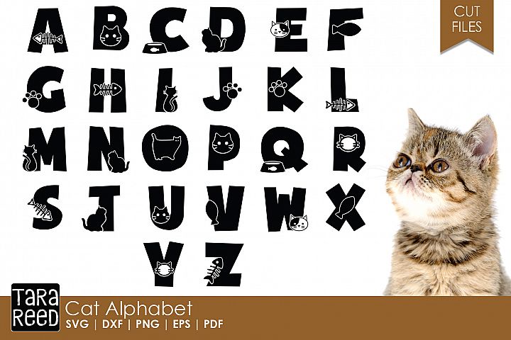 Cat Alphabet