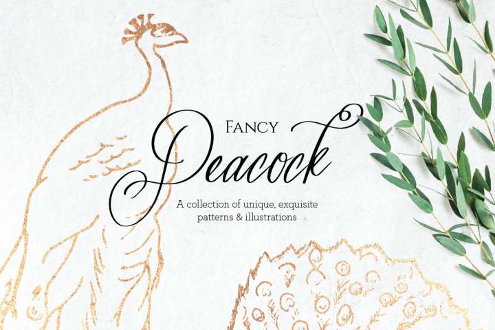 Fancy Peacock Collection (79810) | Illustrations | Design Bundles