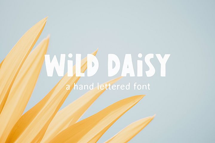 Northlands | Hand Drawn Font