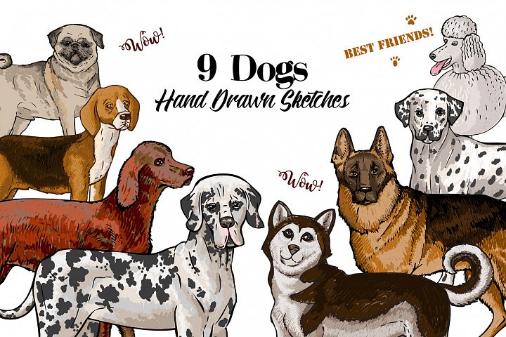Dogs Sketches Set (87762) | Illustrations | Design Bundles
