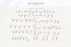 Lizelie Calligraphy font (389533) | Script | Font Bundles