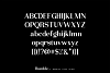 Rumble//Elegant Typeface (411705) | Regular | Font Bundles