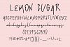 Lemon Sugar (173300) | Script | Font Bundles