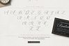 Amelia Script - Draft version (151809) | Script | Font Bundles