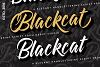 Blackcat // Layered Script (441604) | Script | Font Bundles