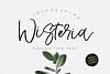 Wisteria Script (82719) | Script | Font Bundles
