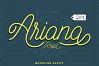 Ariana Script (17523) | Monoline | Font Bundles
