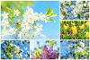 Spring Flowers and Paintings Bundle