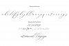 oklahoma calligraphy font (151493) | Script | Font Bundles