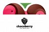 Chocó Berry - Strawberry Fruit Chocolate Stock Logo (26023) | Logos ...