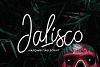 Jalisco (73109) | Handwritten | Font Bundles