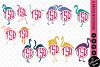 Flamingo Svg, Monogram Svg, Circle Frames, Cuttable Design (177911 ...
