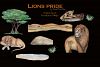 Lion clipart, africa clipart, safari clipar, cute animals