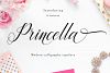 Princella Script | 5 Font (40584) | Calligraphy | Font Bundles