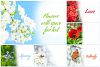 Spring Flowers and Paintings Bundle (53431) | Nature | Design Bundles