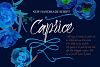 Caprice Script (454) | Script | Font Bundles