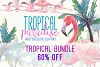 watercolor tropical bundle (150043) | Illustrations | Design Bundles
