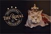Royal King (230072) | Logo | Font Bundles