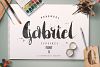Gabriel (6973) | Script | Font Bundles
