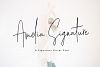 Amelia Signature (151487) | Script | Font Bundles