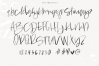 Washington - A Handwritten SVG Script Font (241970) | Regular | Font ...