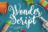 Wonder Script Fun Calligraphy (365956) | Script | Font Bundles