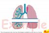 Lungs Split & Circle Embroidery Design Machine Commercial Use digital ...