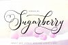 Sugarberry | Modern Script Font