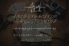 Ariel Signature (77151) | Script | Font Bundles
