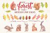 forest bundle watercolor clipart