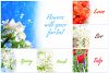 Spring Flowers and Paintings Bundle
