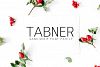 Tabner Sans Serif Font Family (27250) | Sans Serif | Font Bundles