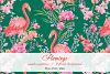 Flamingo seamless patterns (247068) | Patterns | Design Bundles