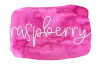 Raspberry - A Handwritten Script Font (82606) | Script | Font Bundles