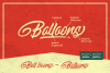 Baltimore (41794) | Script | Font Bundles