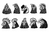 10 Chicken head art design