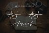 Ariel Signature (77151) | Script | Font Bundles