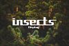insects font (1082) | Logo | Font Bundles