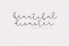 Beautiful Disaster Script - Handwritten Font (146370) | Script | Font ...
