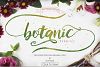 Botanic Swashes Font & Extras (7516) | Script | Font Bundles