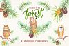 forest bundle watercolor clipart