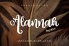 Alannah Script Font (73497) | Script | Font Bundles