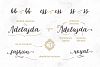 Michelle script with extras (38660) | Script | Font Bundles