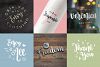 Alannah Script Font (73497) | Script | Font Bundles