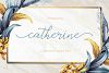 Catherine (248428) | Script | Font Bundles