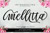 Mellitta Script (20908) | Calligraphy | Font Bundles