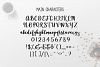 Coffee Shop Script a cursive brush font with lots of extras (213459 ...