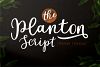 Planton Script (25949) | Script | Font Bundles