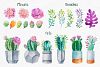 Cactus. Watercolor illustrations. (95384) | Illustrations | Design Bundles
